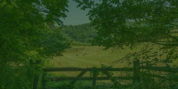 Appalachian Sustainable Development