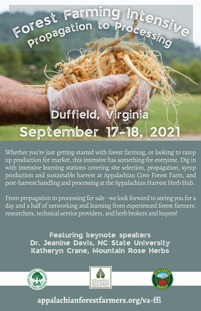 Forest Farming Intensive: Propagation to Processing - Appalachian Sustainable Development