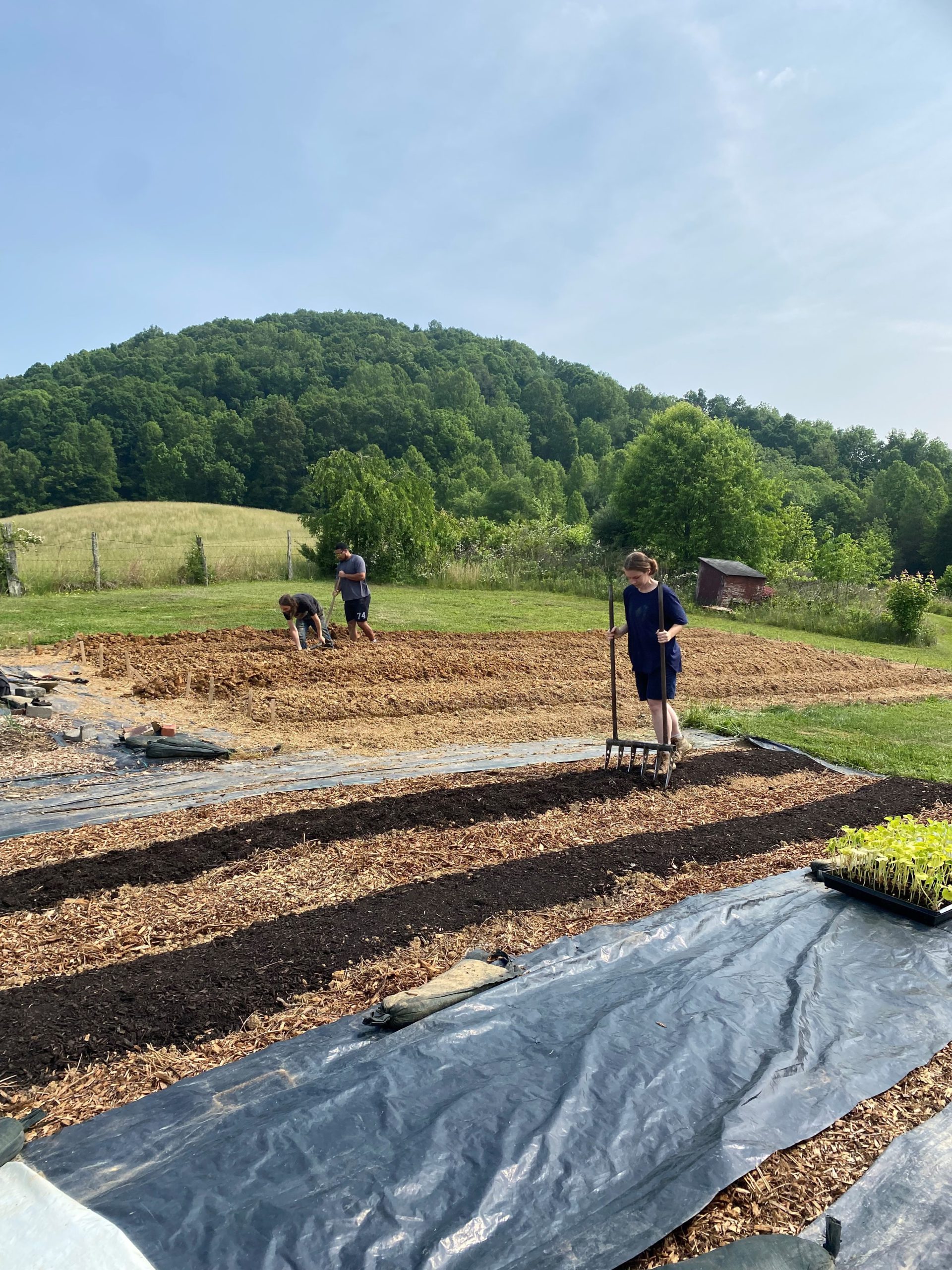 All Natural Hard Work at Harvest Table Farm - Appalachian Sustainable ...