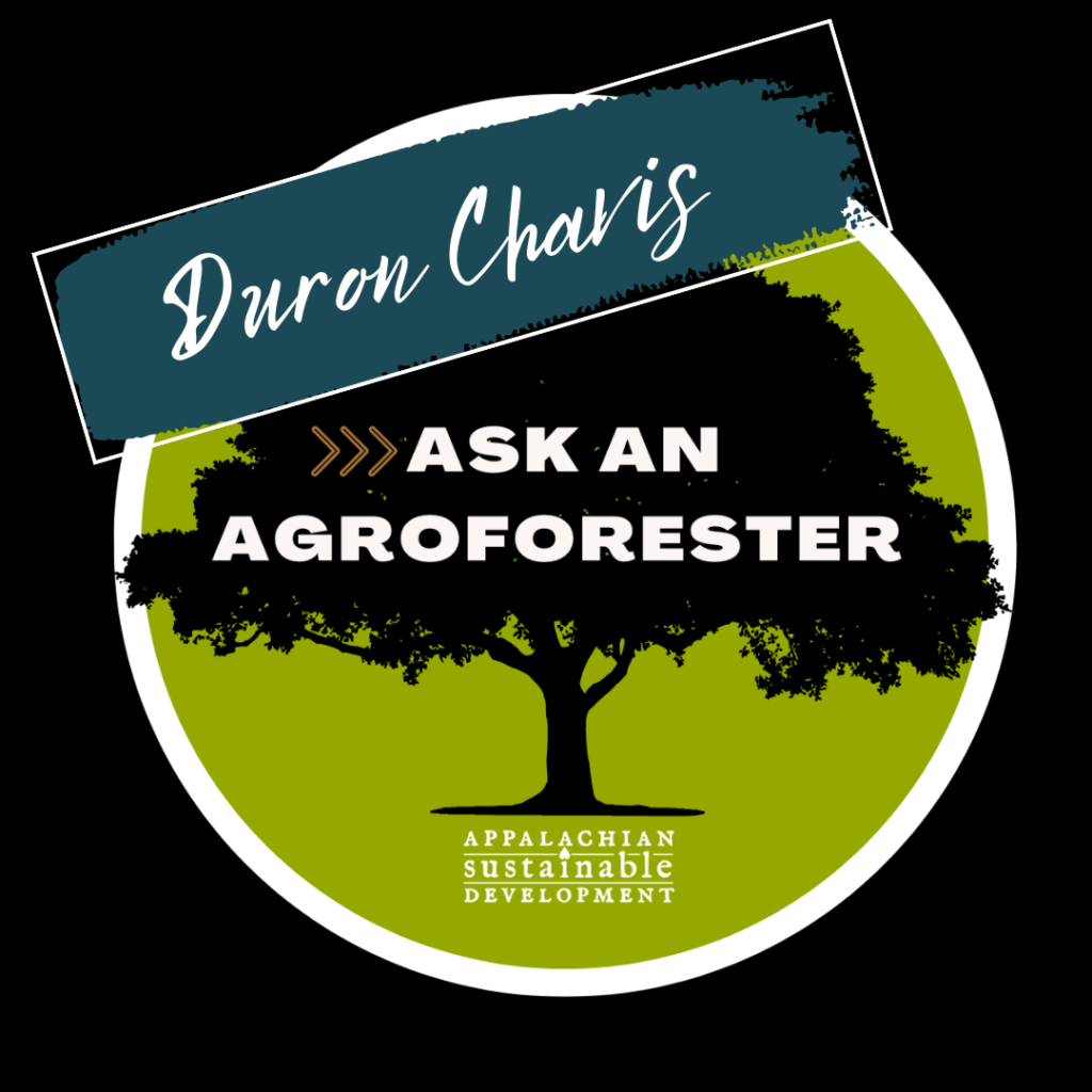 Agroforestry - Appalachian Sustainable Development