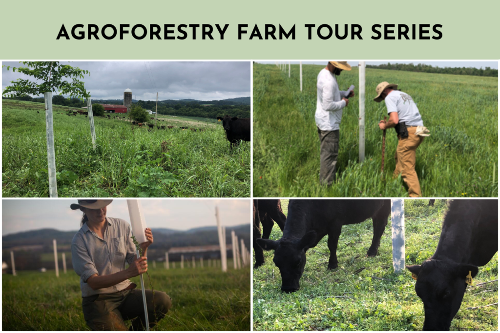 Homepage - Appalachian Sustainable Development