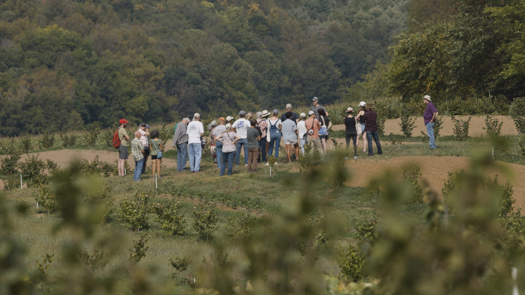 Agroforestry Farm Tour Series - Appalachian Sustainable Development