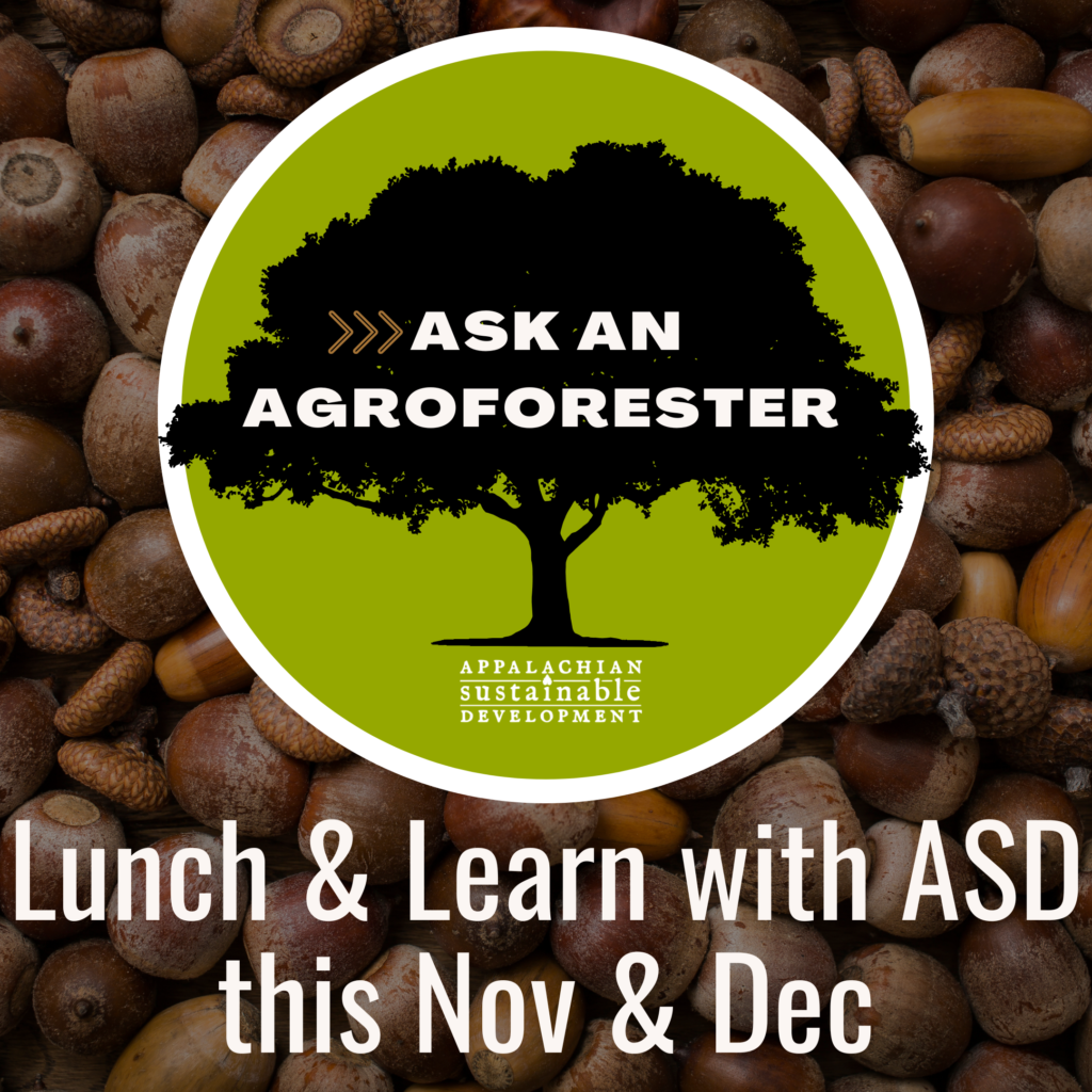 Agroforestry - Appalachian Sustainable Development