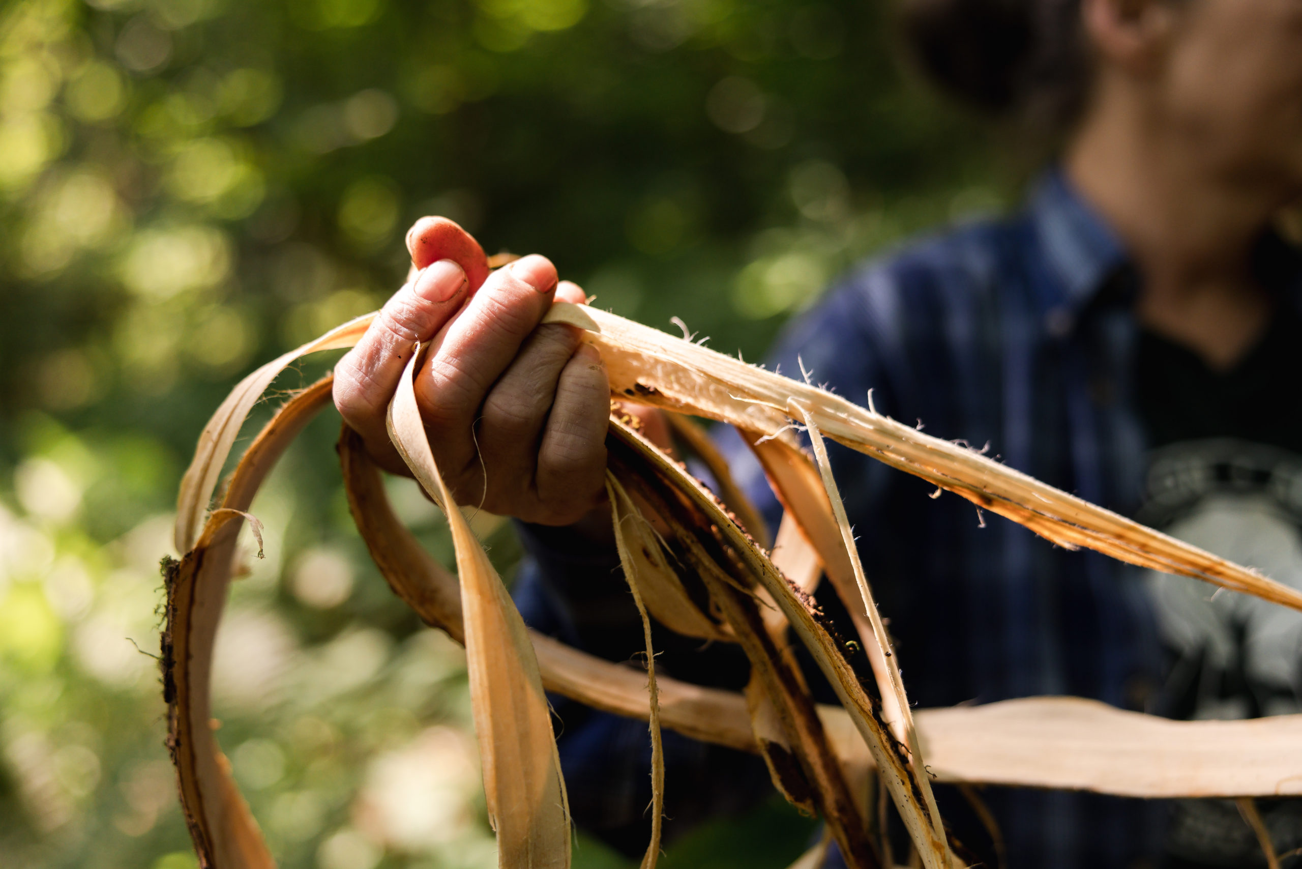 Appalachian Harvest HerB Hub™ - Appalachian Sustainable Development