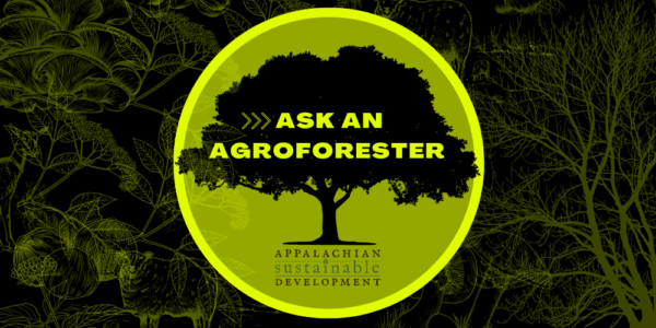 Agroforestry - Appalachian Sustainable Development